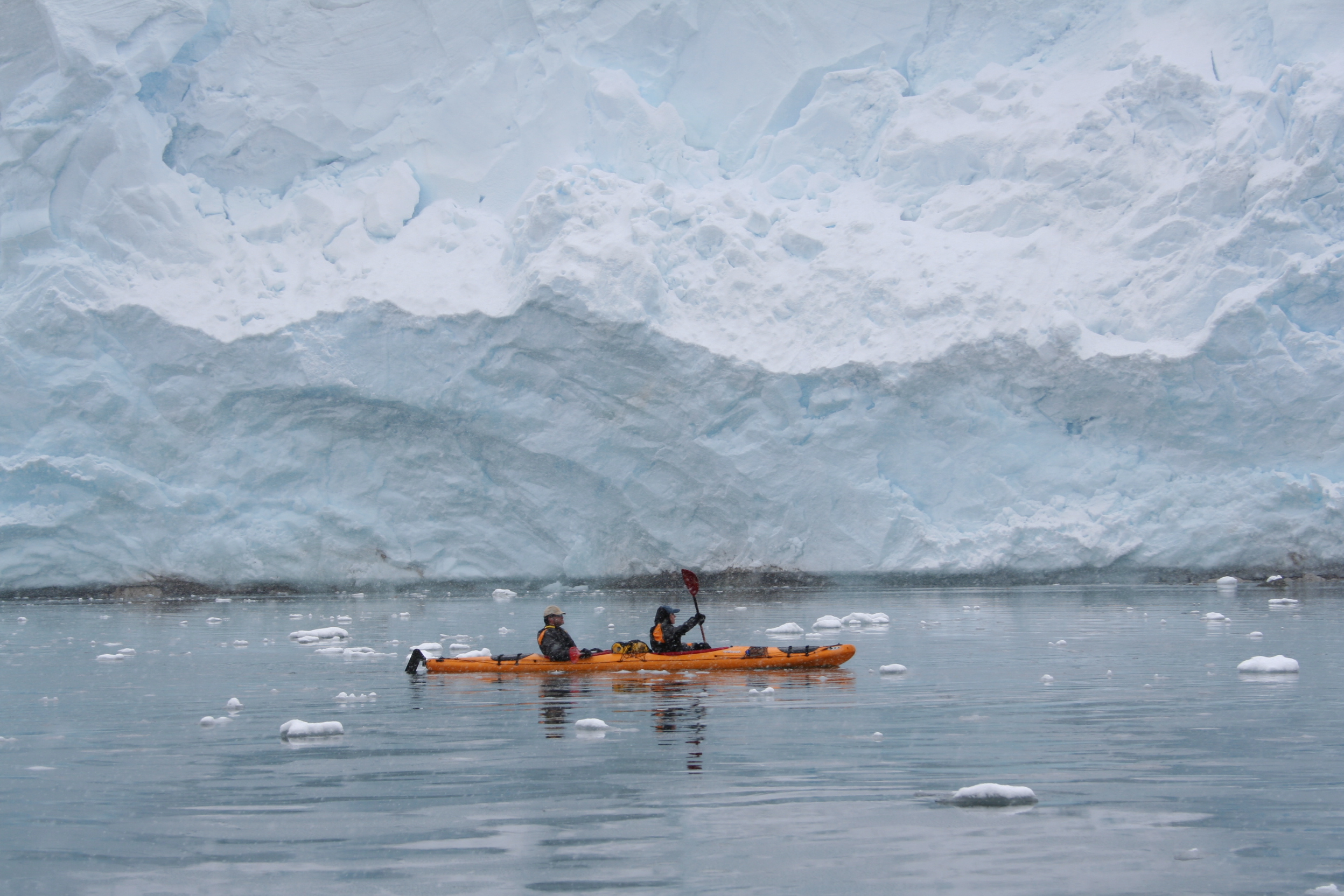 Kayaking in Antarctica | Swoop Antarctica