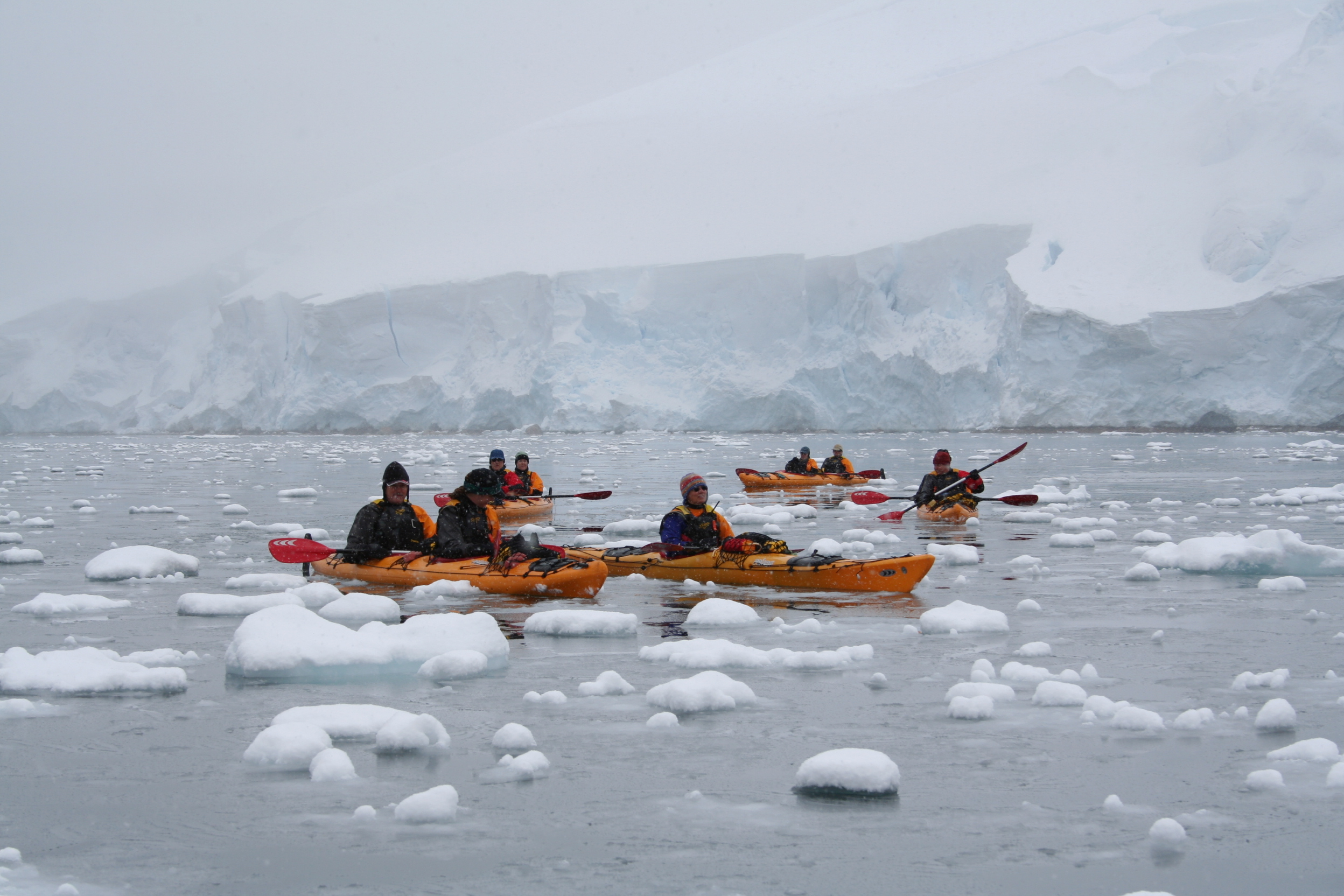 Best Time To Visit Antarctica | Swoop Antarctica