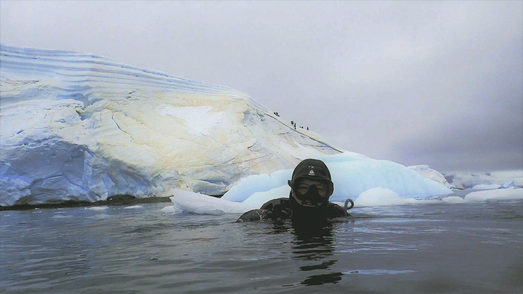 Scuba Diving in Antarctica | Swoop Antarctica