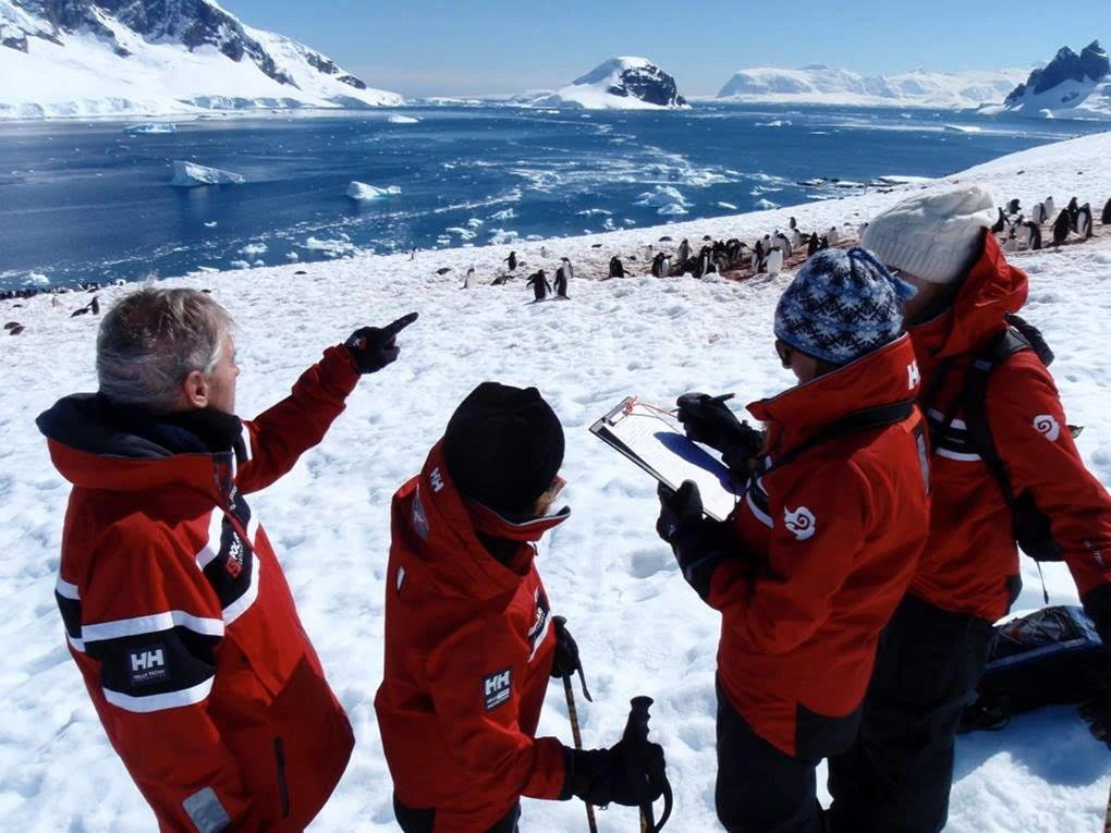Citizen Science In Antarctica | Swoop Antarctica