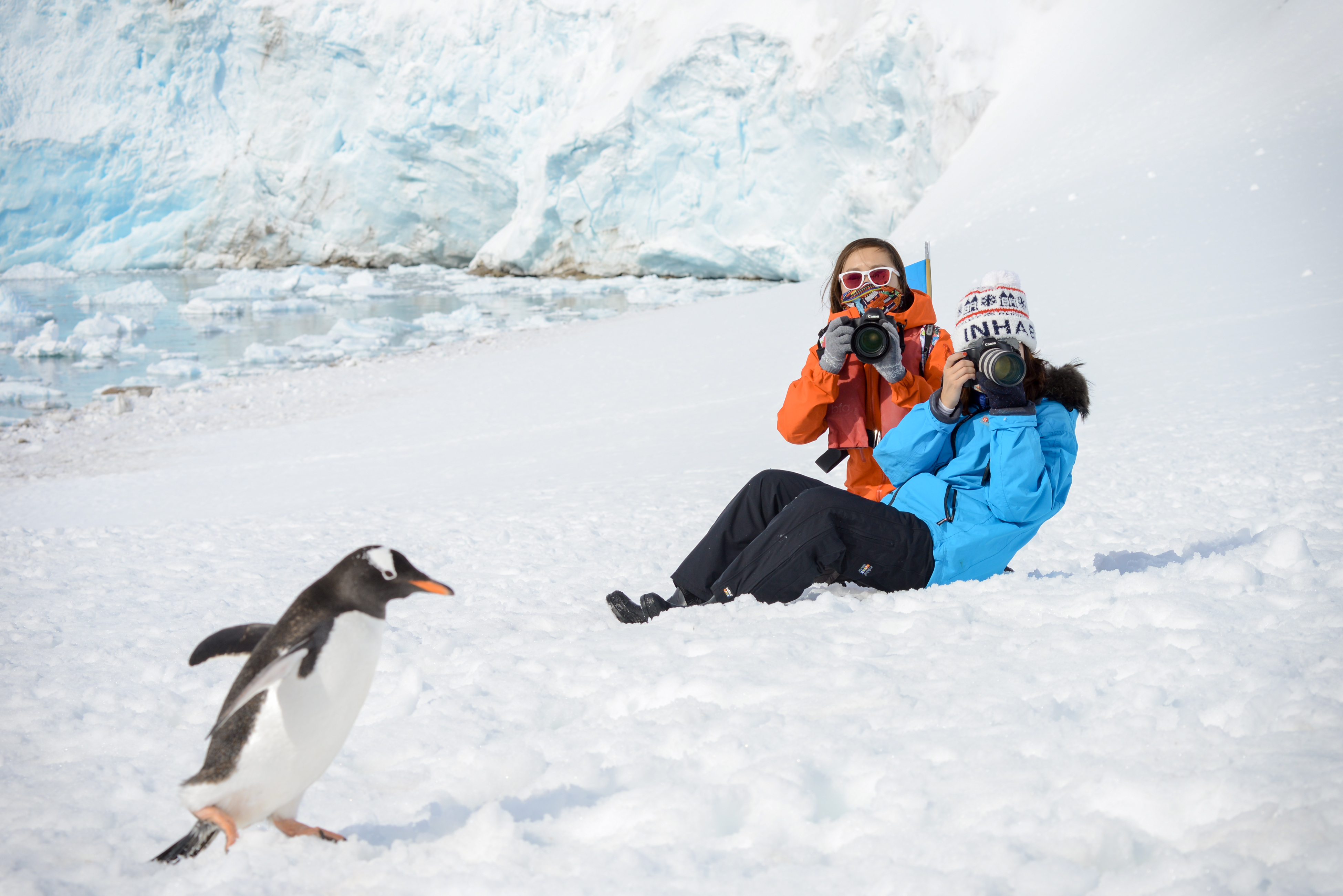 Antarctica Photography Tours | Swoop Antarctica