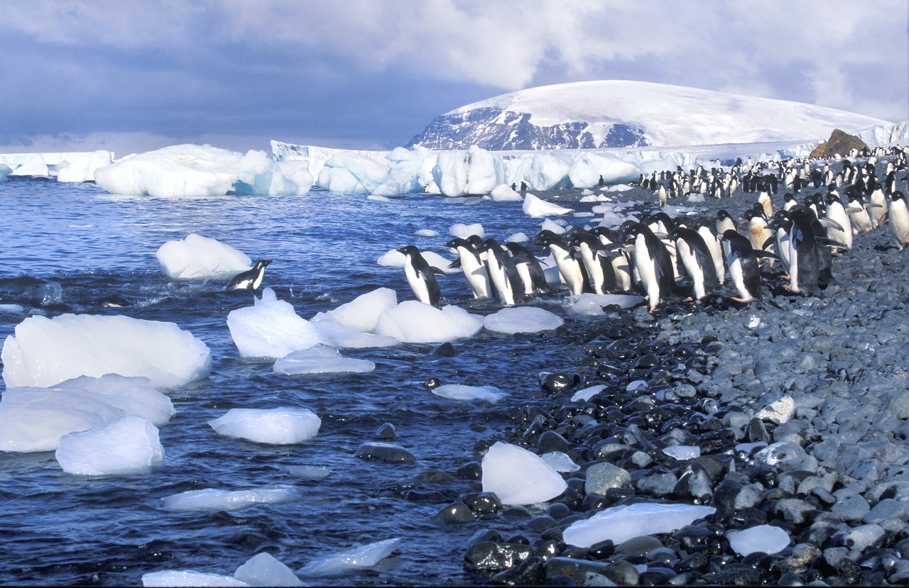 Antarctic Circle Cruises | Swoop Antarctica