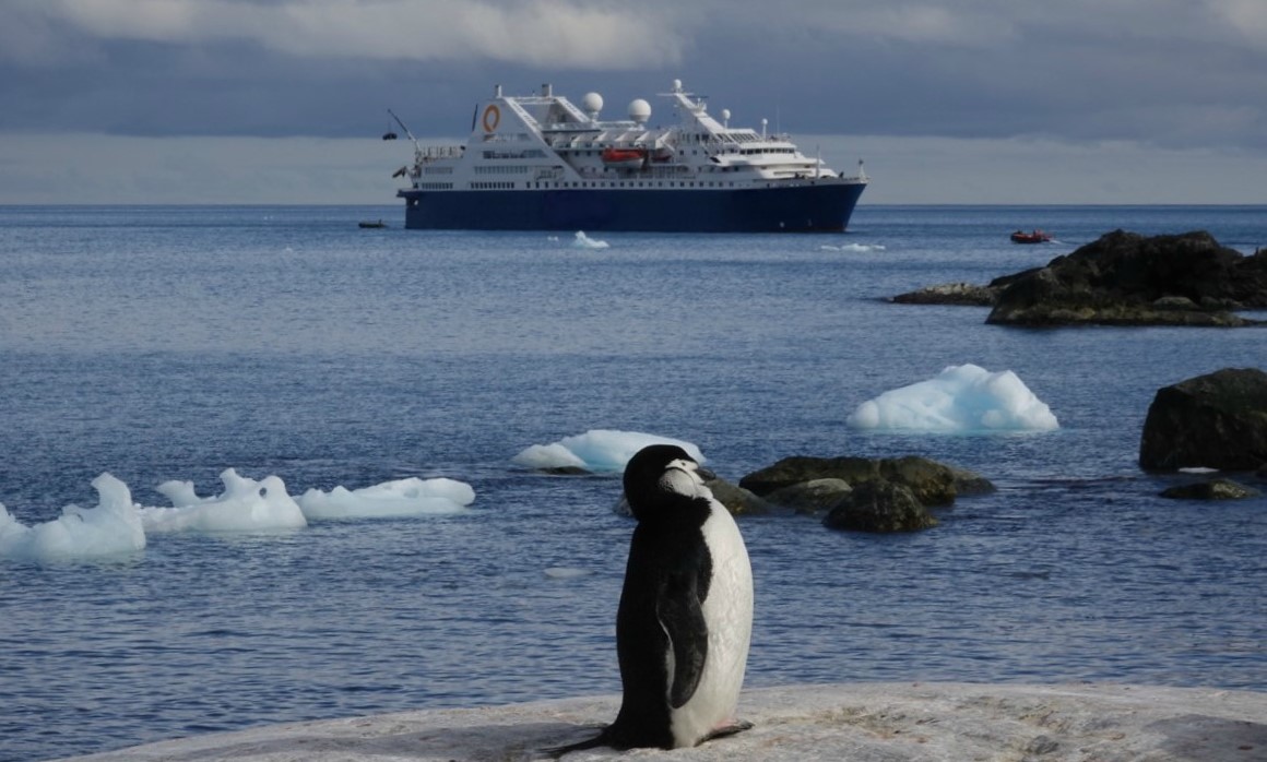 Ultimate Antarctica: South Georgia & Antarctic Circle | Swoop Antarctica