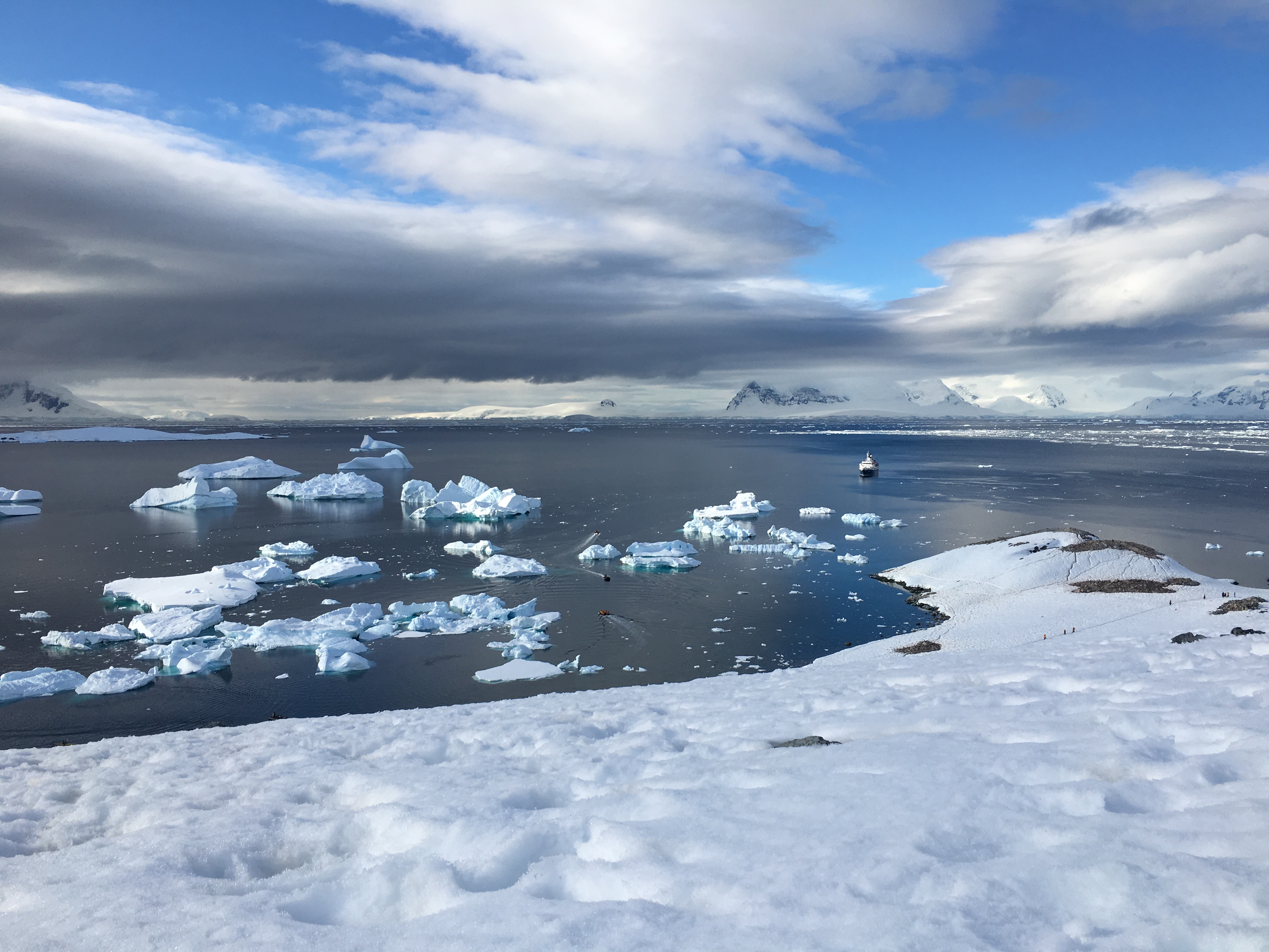What is IAATO? | Swoop Antarctica